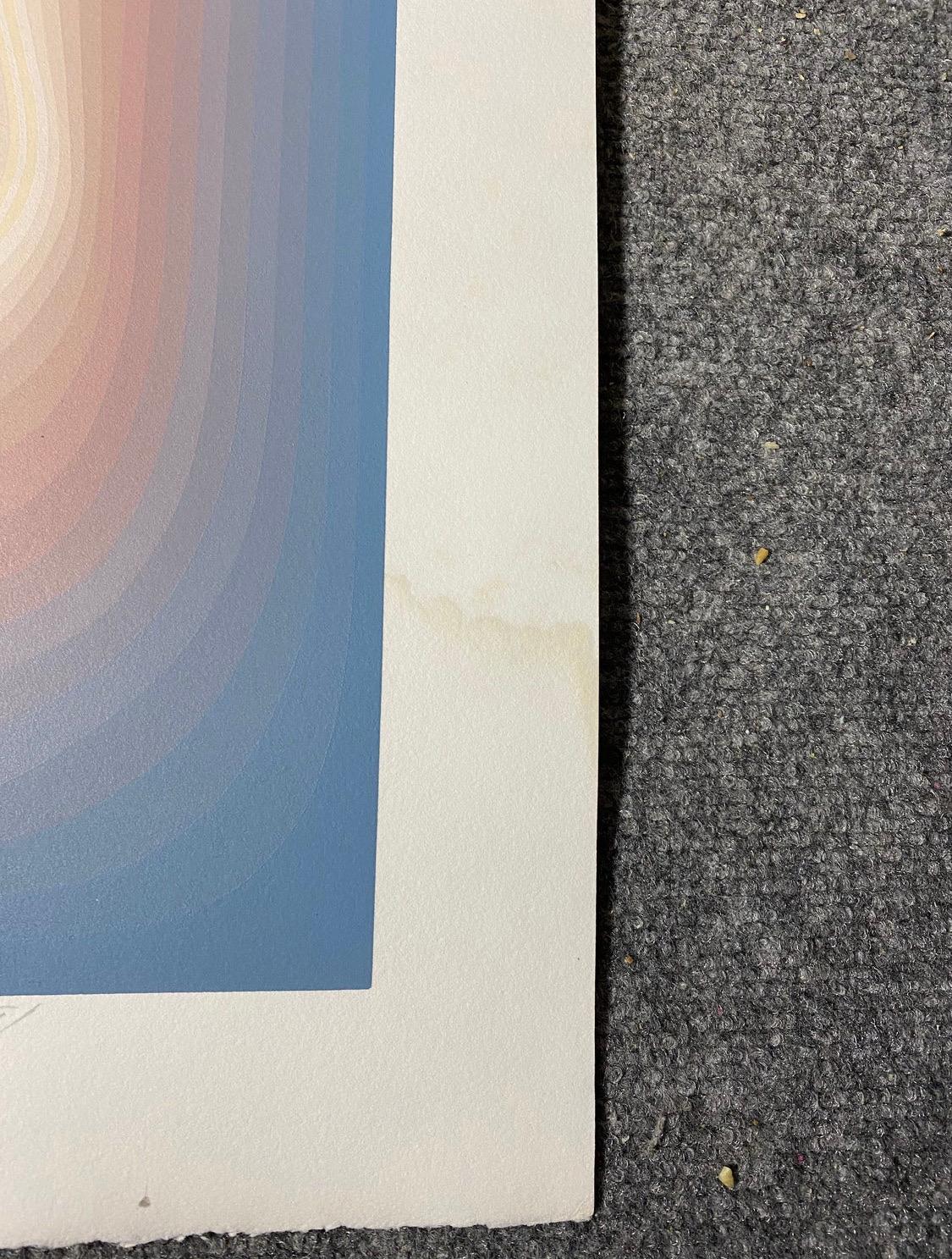 Vintage Op Art Serigraph "Expanded Inversions" by Roy Ahlgren, 1981 For ...