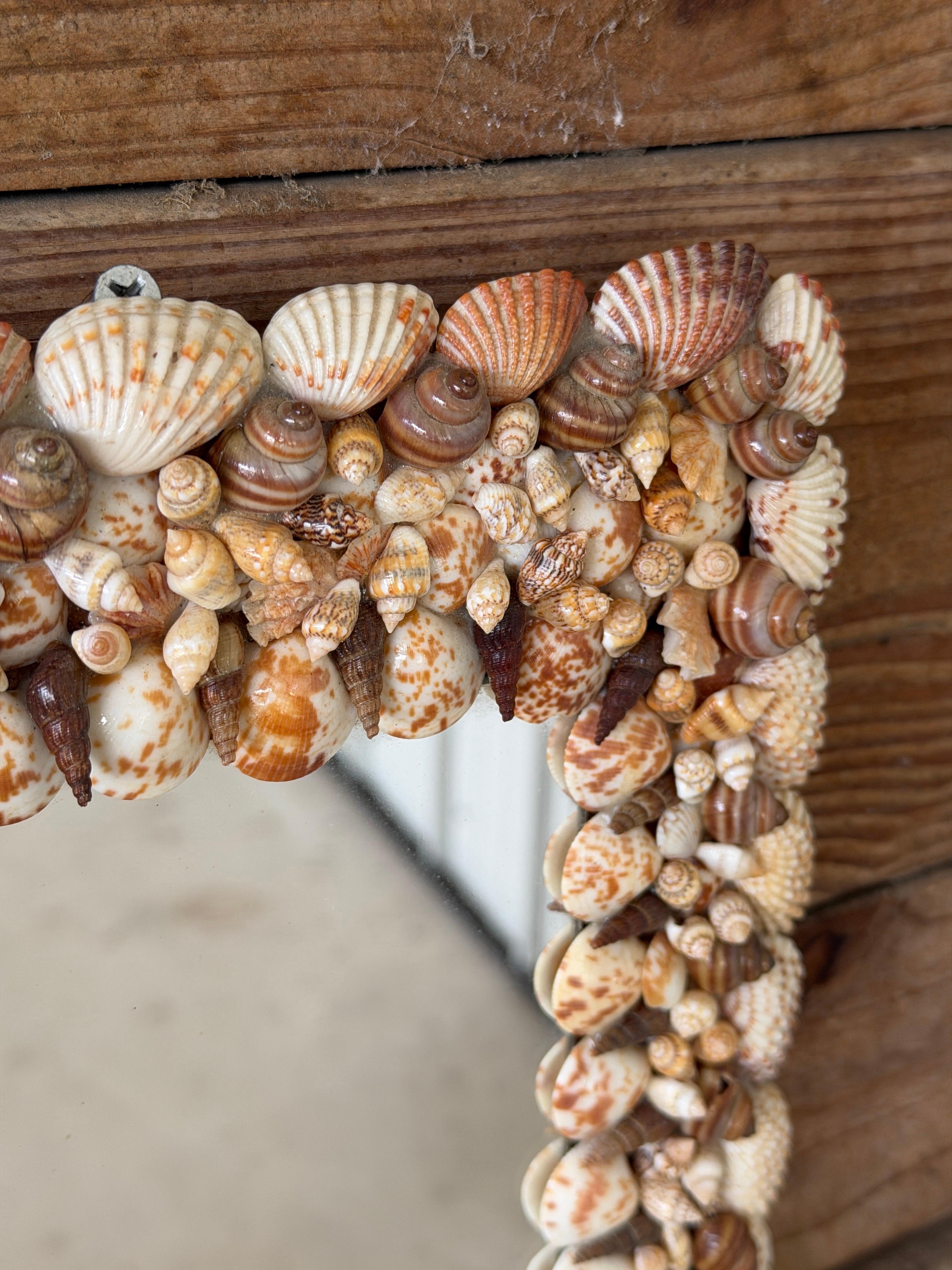Vintage Organic Coastal Seashell Wall Mirror For Sale at 1stDibs