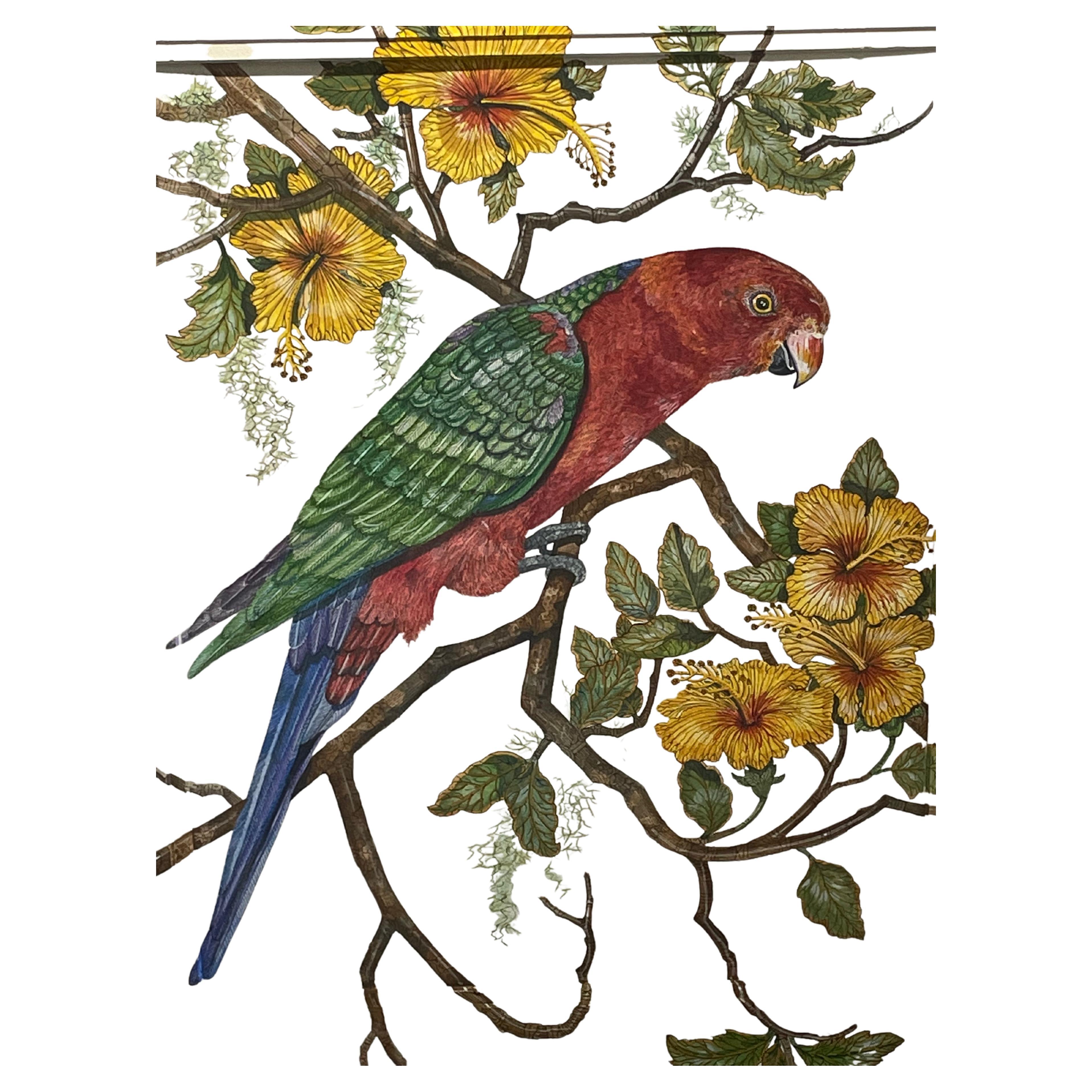 Vintage Original Red Crowned Parrot by Kathy R Crowther and Signed For ...