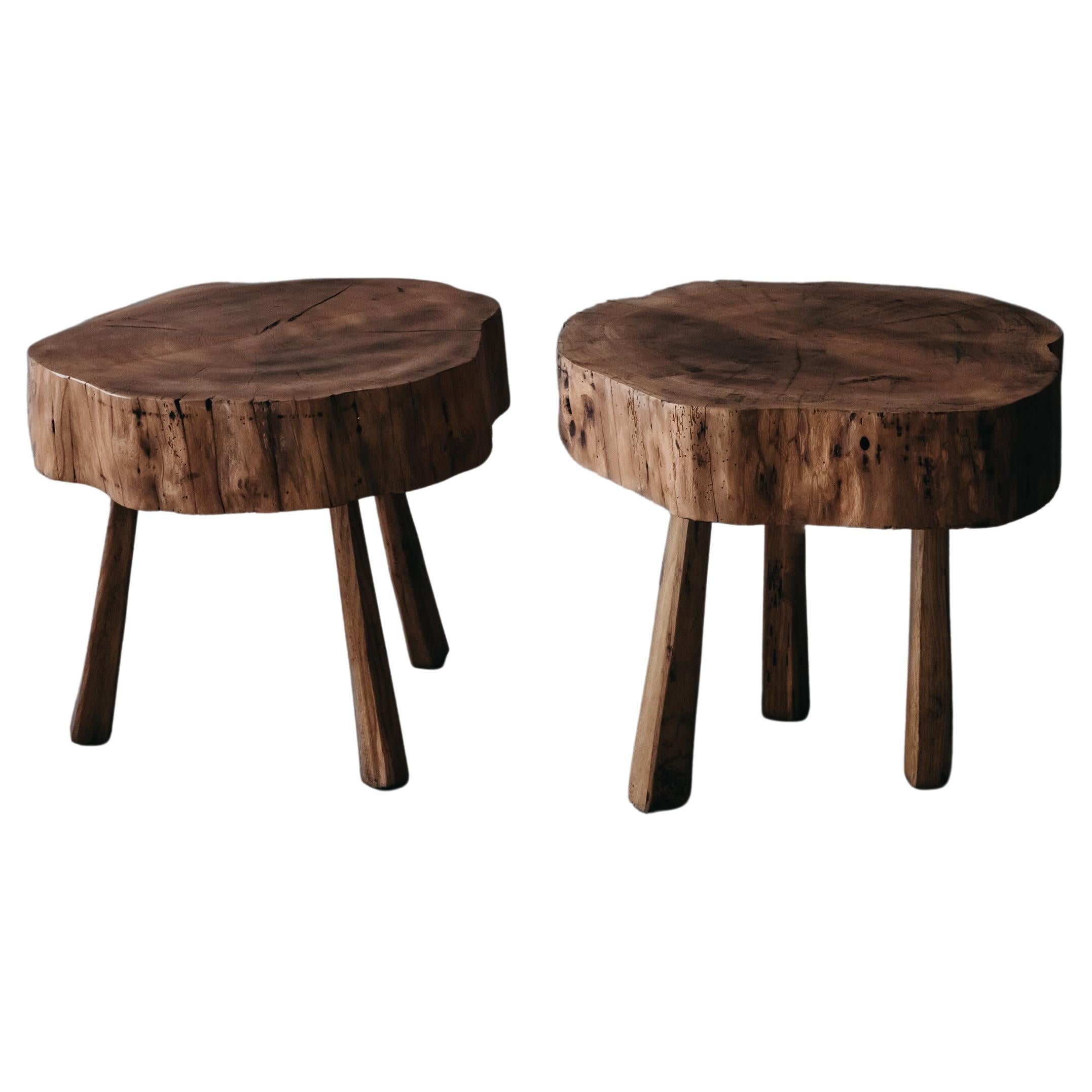 Vintage Pair Of Live Edge Tables From France, Circa 1960 For Sale at ...
