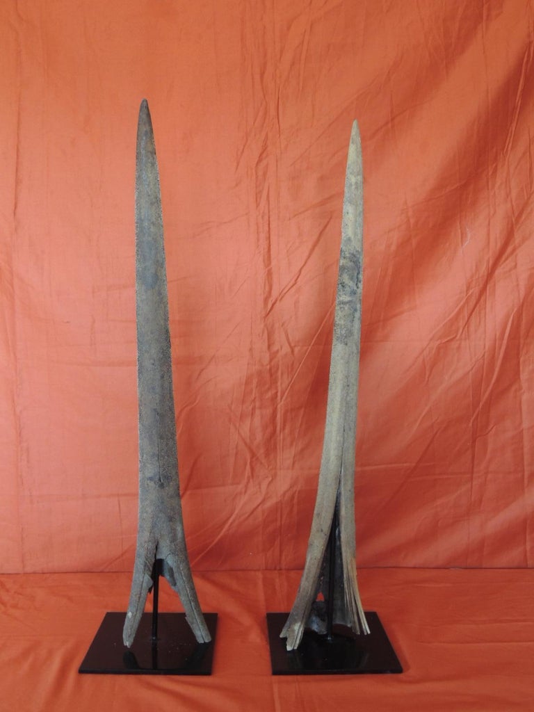 Vintage Pair of Marlin Fish Bills Mounted on Metal Stands from the ...