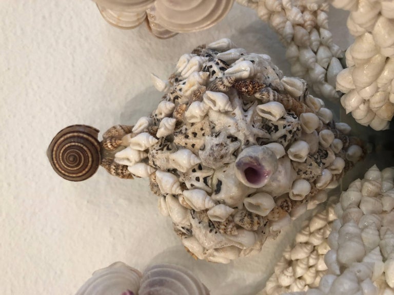 Vintage Pair of Seashell Shell Beach Wall Light Sconces at 1stDibs