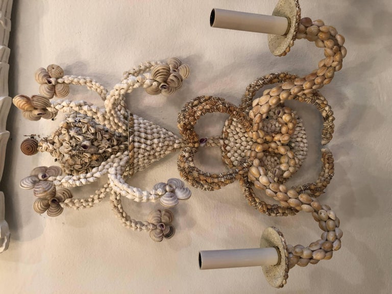 Vintage Pair of Seashell Shell Beach Wall Light Sconces at 1stDibs