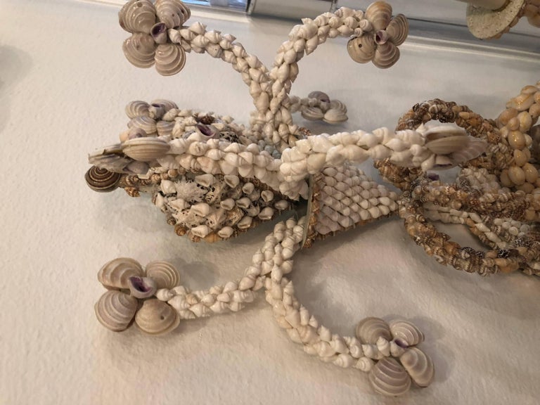 Vintage Pair of Seashell Shell Beach Wall Light Sconces at 1stDibs