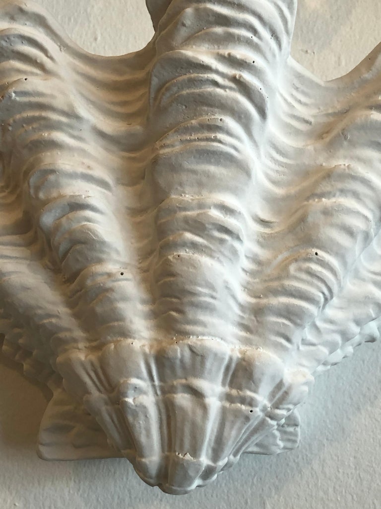 Pair of Palm Beach Roche Style White Plaster Clam Shell Wall Light ...