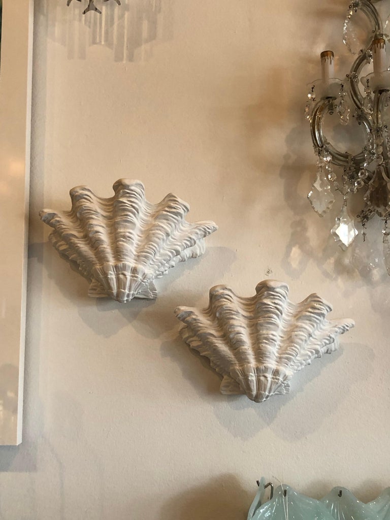 Pair of Palm Beach Roche Style White Plaster Clam Shell Wall Light ...