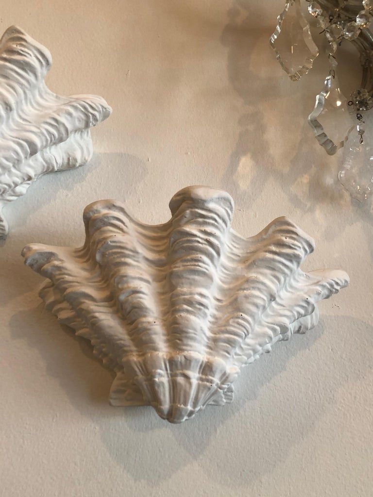 Pair of Palm Beach Roche Style White Plaster Clam Shell Wall Light ...
