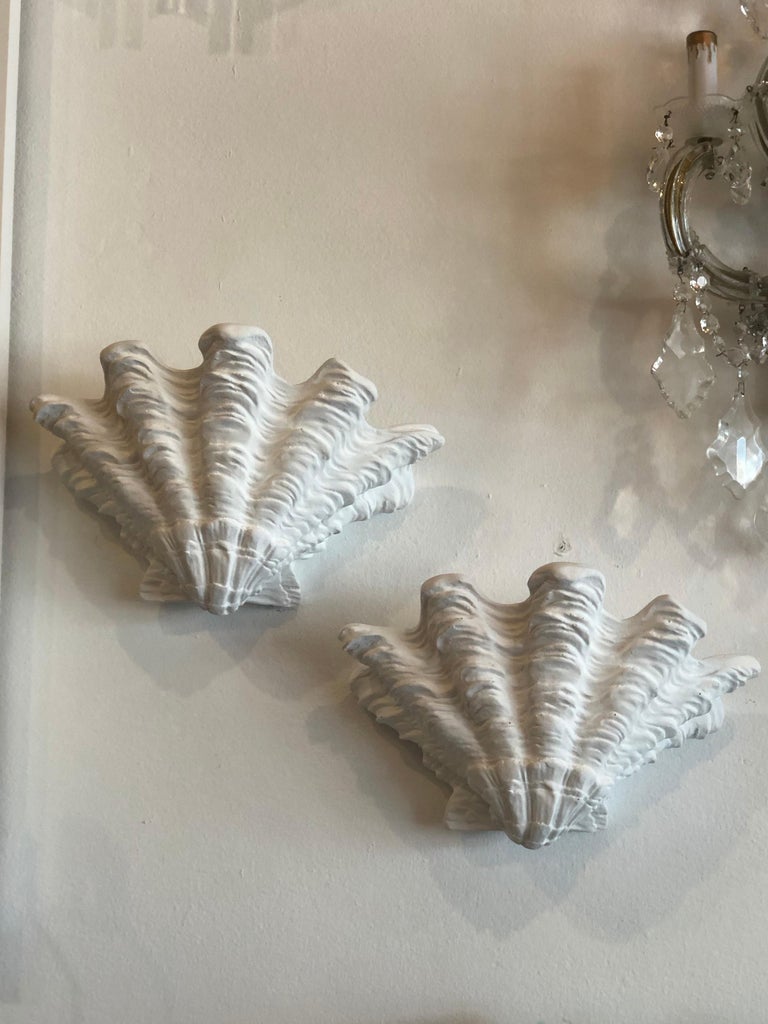 Pair of Palm Beach Roche Style White Plaster Clam Shell Wall Light ...