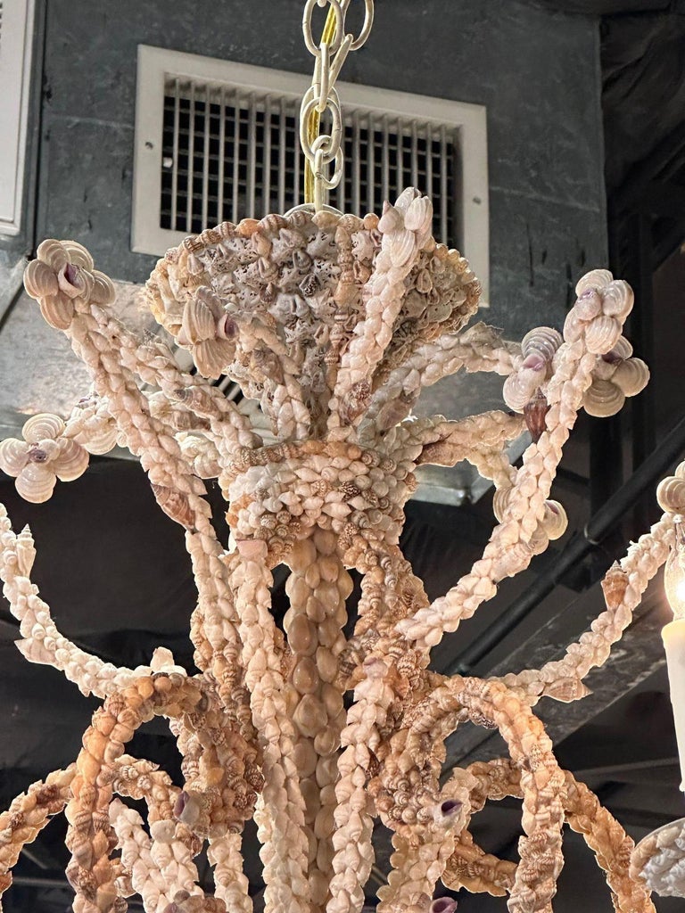Vintage Palm Beach Seashell Chandelier For Sale at 1stDibs