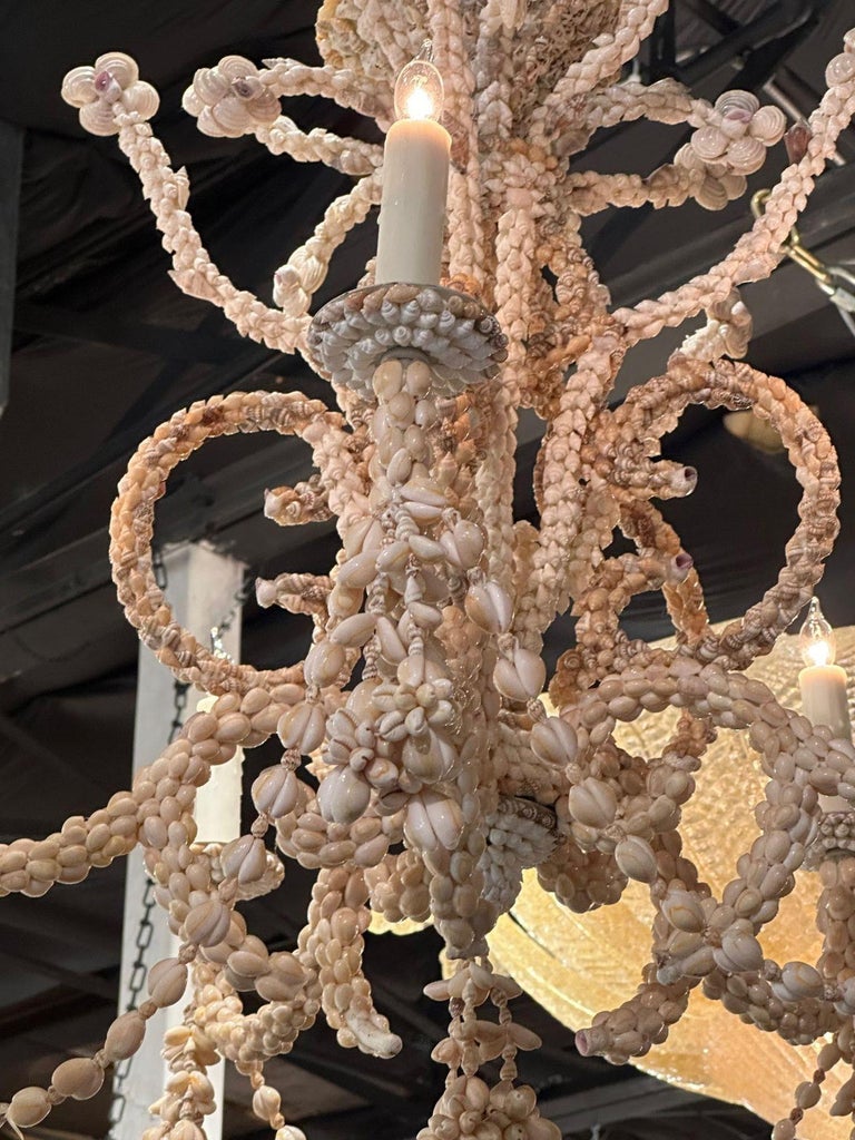 Vintage Palm Beach Seashell Chandelier For Sale at 1stDibs