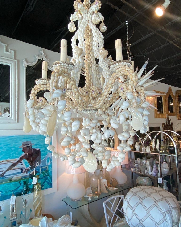 Vintage Palm Beach Shell Seashell 6 Light Chandelier For Sale at 1stDibs