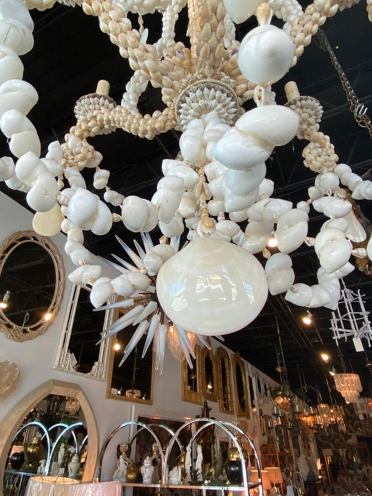 Vintage Palm Beach Shell Seashell 6 Light Chandelier For Sale at 1stDibs
