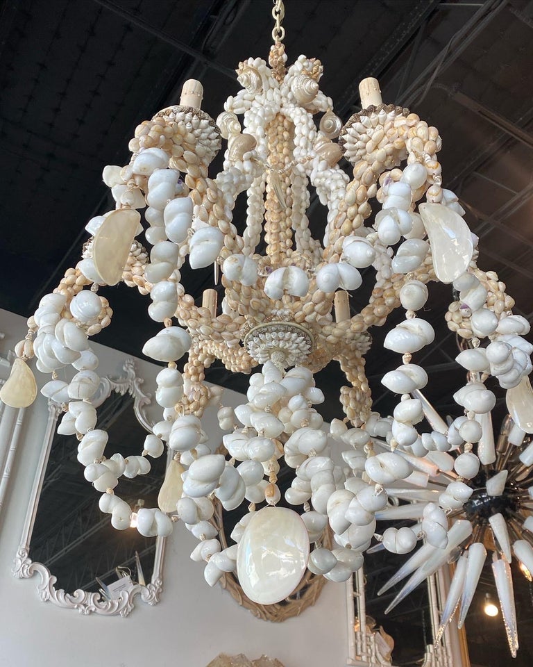 Vintage Palm Beach Shell Seashell 6 Light Chandelier For Sale at 1stDibs