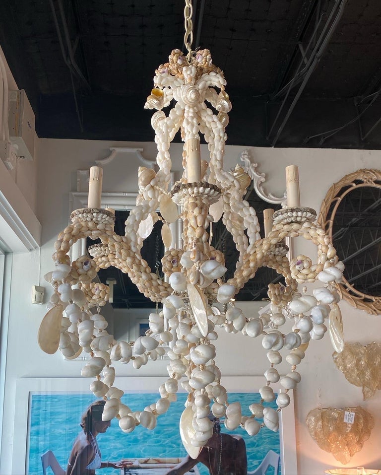 Vintage Palm Beach Shell Seashell 6 Light Chandelier For Sale at 1stDibs