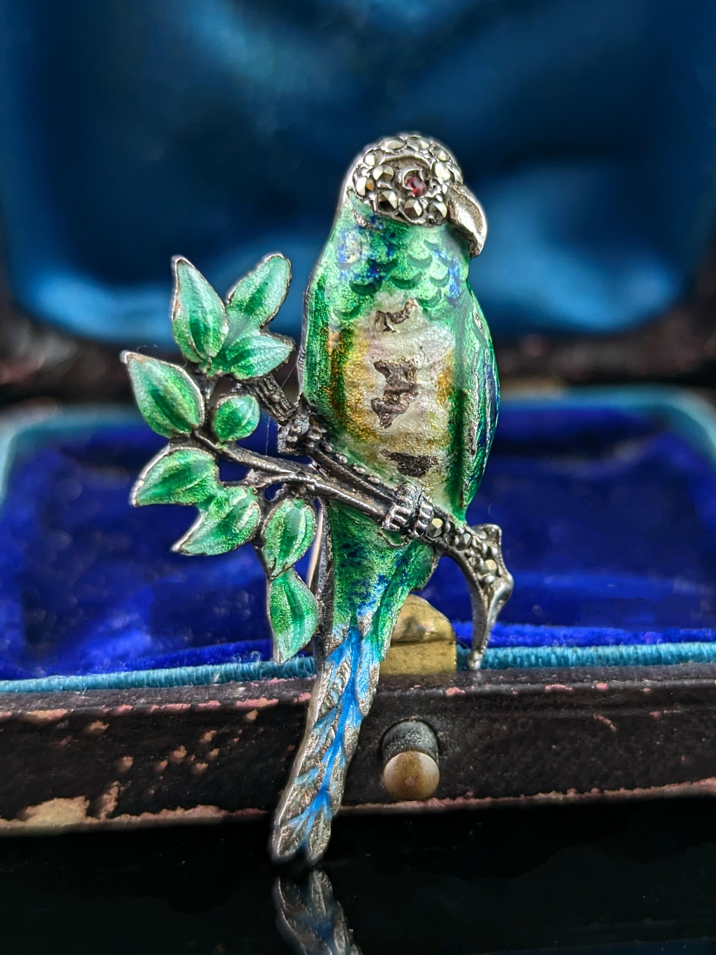 Vintage parrot brooch, Sterling silver, Enamel and Marcasite For Sale ...