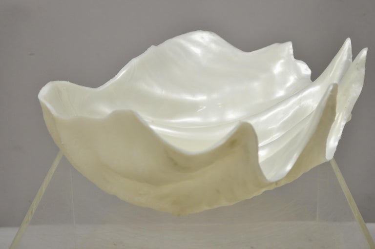 Vintage Pearlescent Molded Plastic Pearl Large Seashell Clam Shell ...
