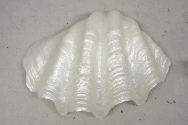 Vintage Pearlescent Molded Plastic Pearl Large Seashell Clam Shell ...
