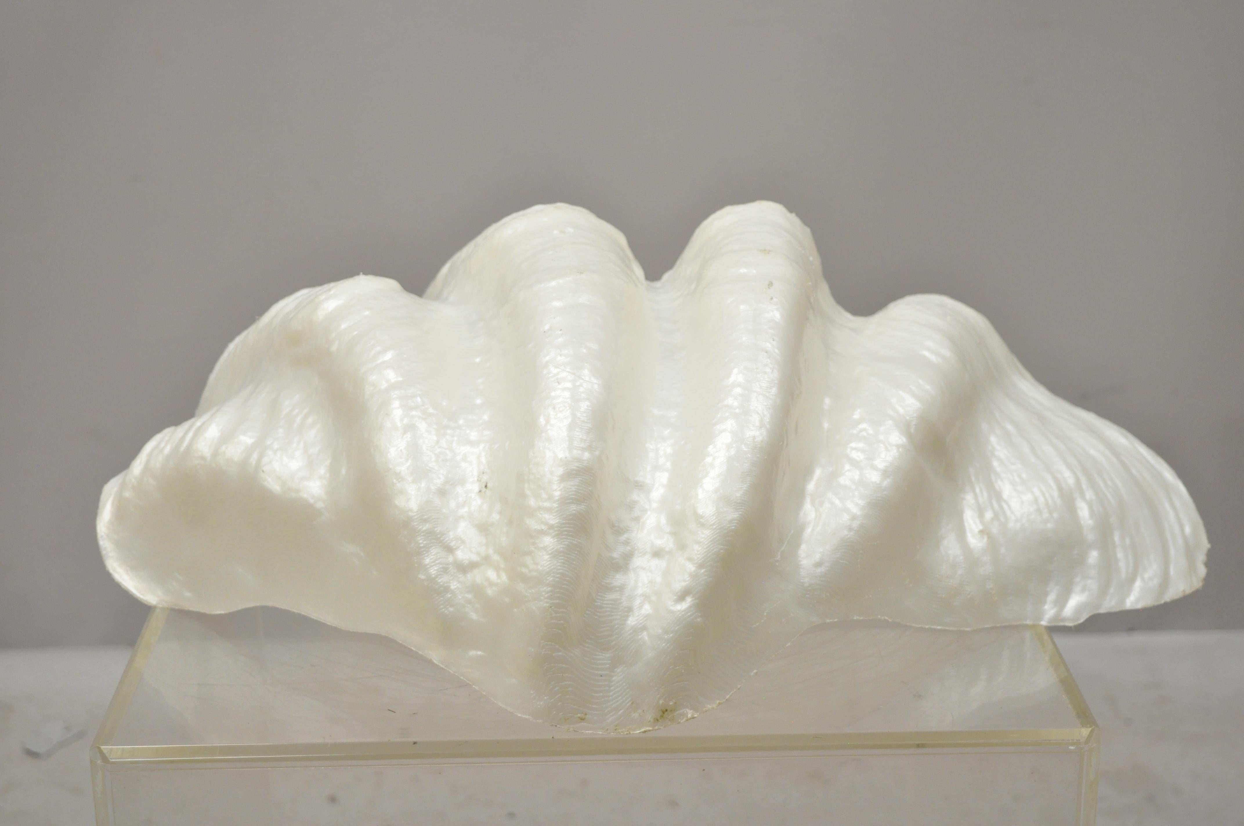 Vintage Pearlescent Molded Plastic Pearl Large Seashell Clam Shell ...