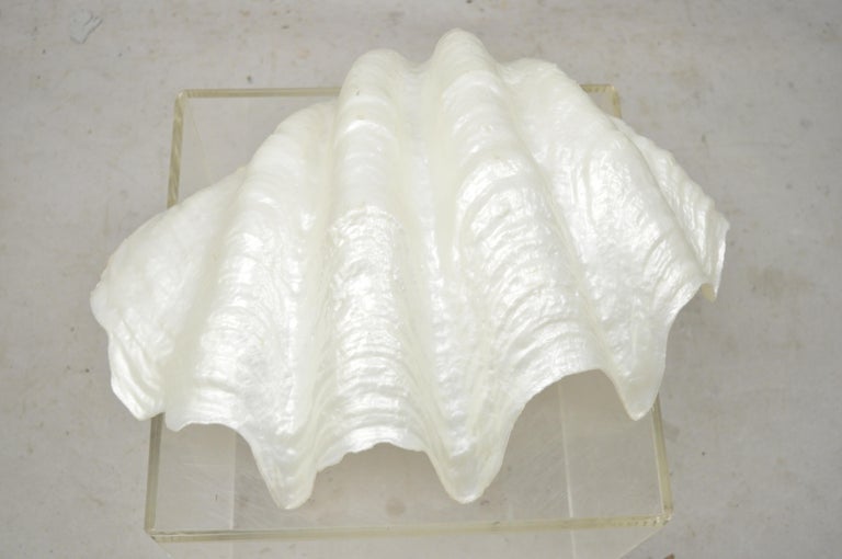 Vintage Pearlescent Molded Plastic Pearl Large Seashell Clam Shell ...