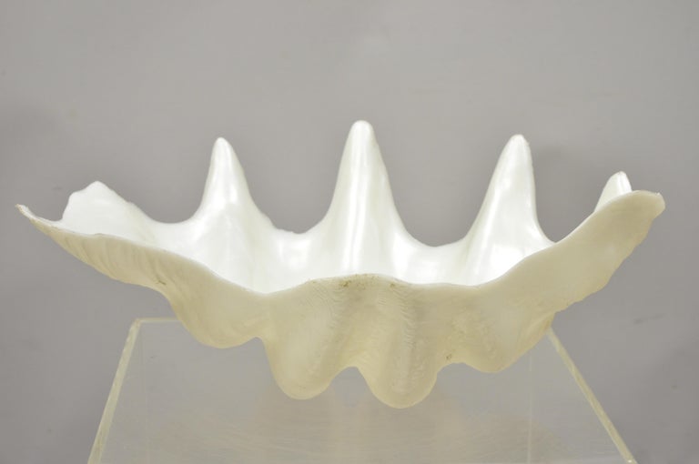 Vintage Pearlescent Molded Plastic Pearl Large Seashell Clam Shell ...