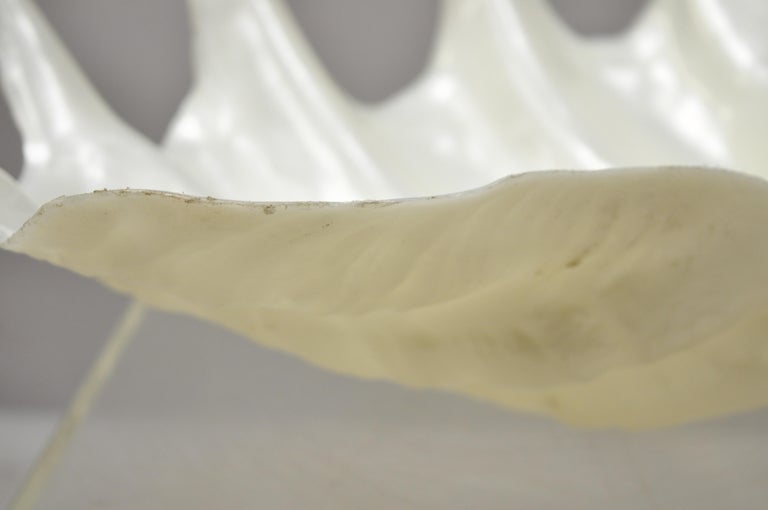 Vintage Pearlescent Molded Plastic Pearl Large Seashell Clam Shell ...