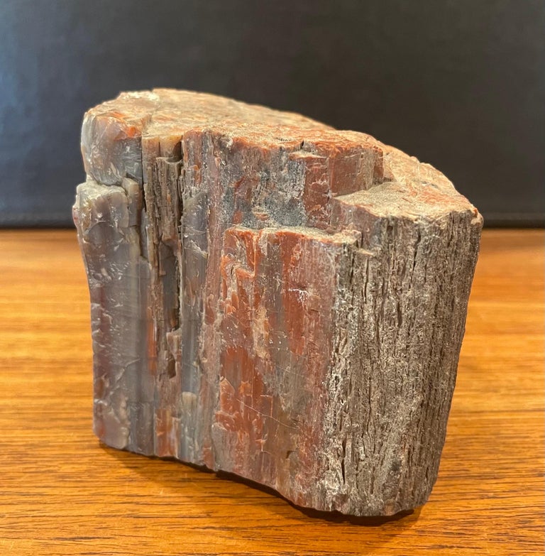 Vintage Petrified Wood Paperweight For Sale at 1stDibs