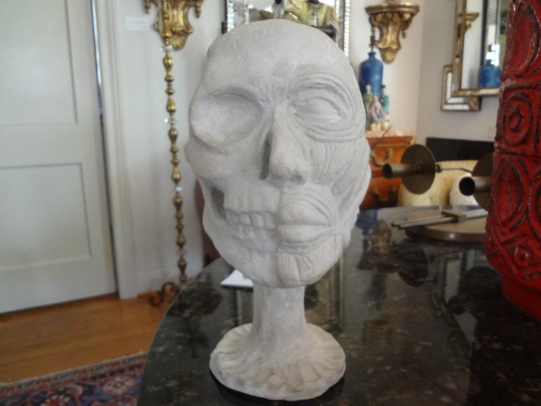 Vintage Plaster Anatomical Skull Model For Sale at 1stDibs
