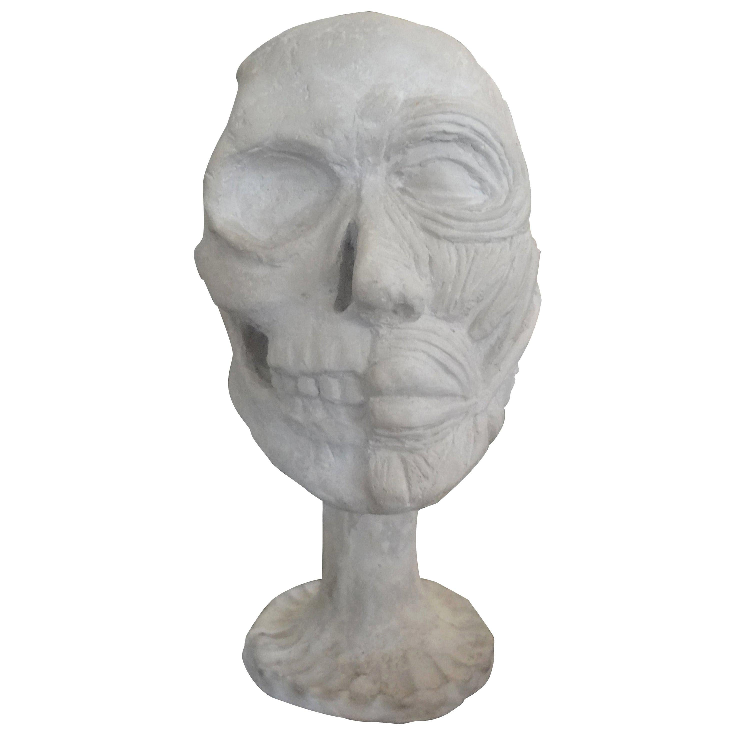 Anatomic Model, Bones, circa 1950 For Sale at 1stDibs