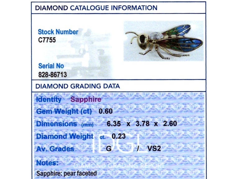 Vintage Plique-a-jour, Sapphire and Diamond, 18ct Yellow Gold Bug ...