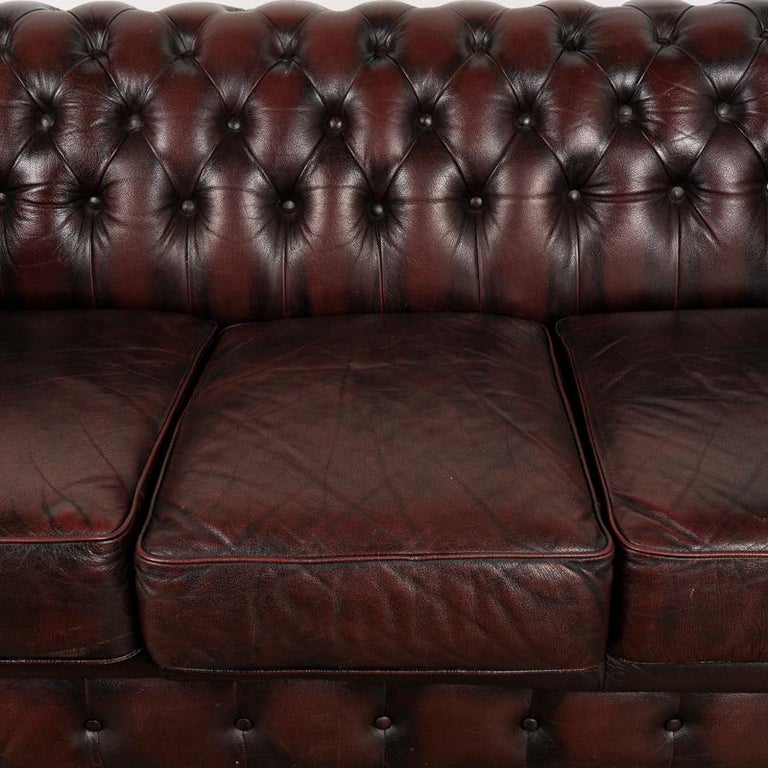 Vintage Plum Colored Leather Three Seat Chesterfield Sofa at 1stDibs