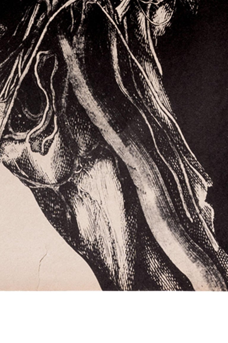 Vintage Polish Hunger Poster by Bronisław Zelek for CWF, 1967 For Sale ...