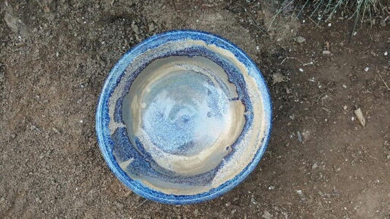 Vintage Ray Harris Ceramic Decorative Bowl by Ceramic Artist Ray Harris ...
