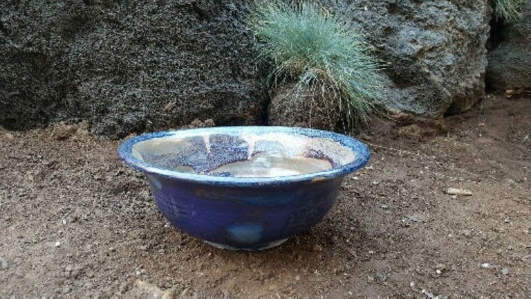 Vintage Ray Harris Ceramic Decorative Bowl by Ceramic Artist Ray Harris ...