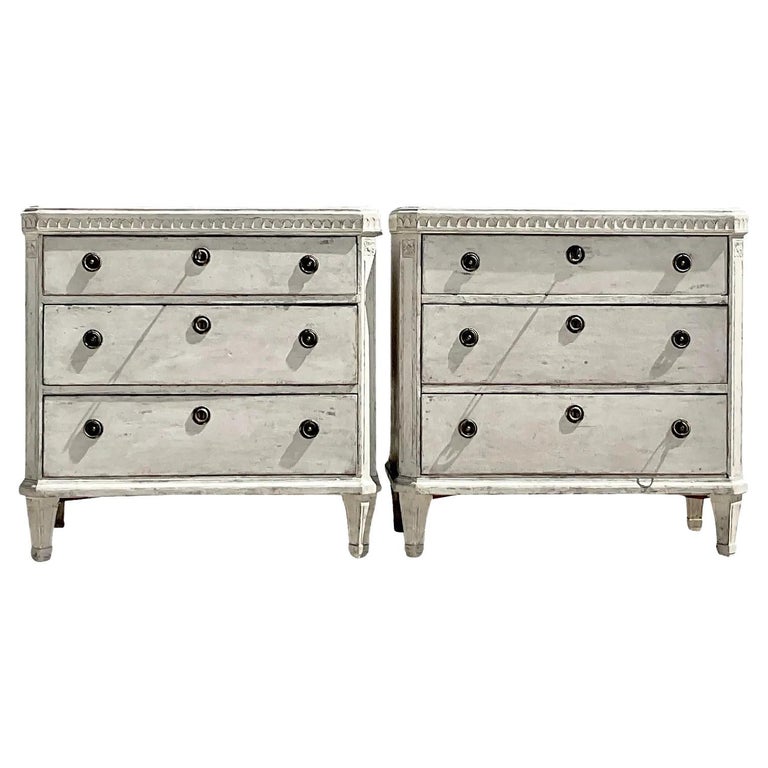 Vintage Regency 19th Century Swedish Chests, a Pair For Sale at 1stDibs