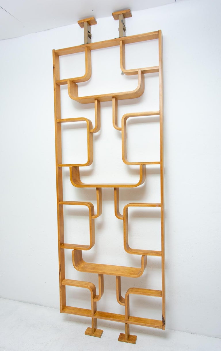 Vintage Room Divider by Ludvik Volak for Drevopodnik Holesov, 1970s For ...