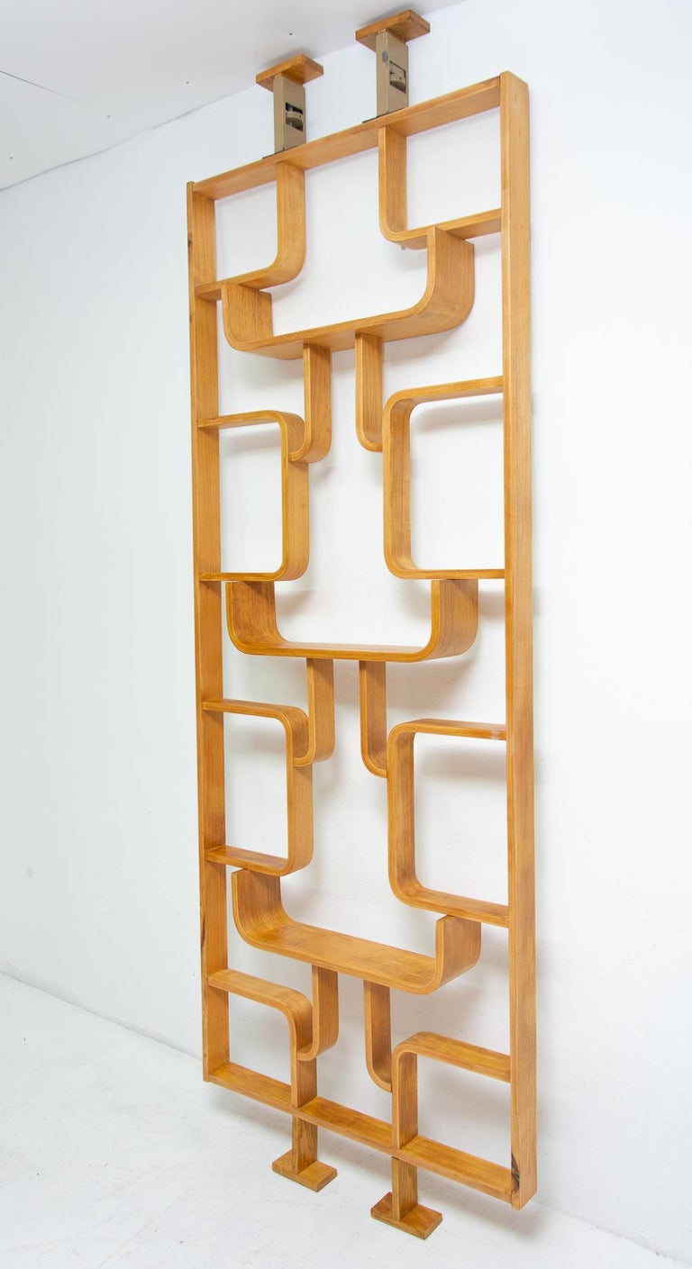 Vintage Room Divider by Ludvik Volak for Drevopodnik Holesov, 1970s For ...