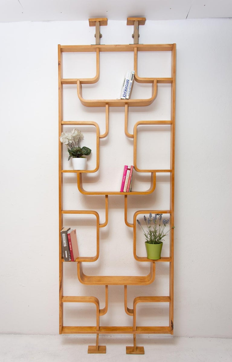 Vintage Room Divider by Ludvik Volak for Drevopodnik Holesov, 1970s For ...