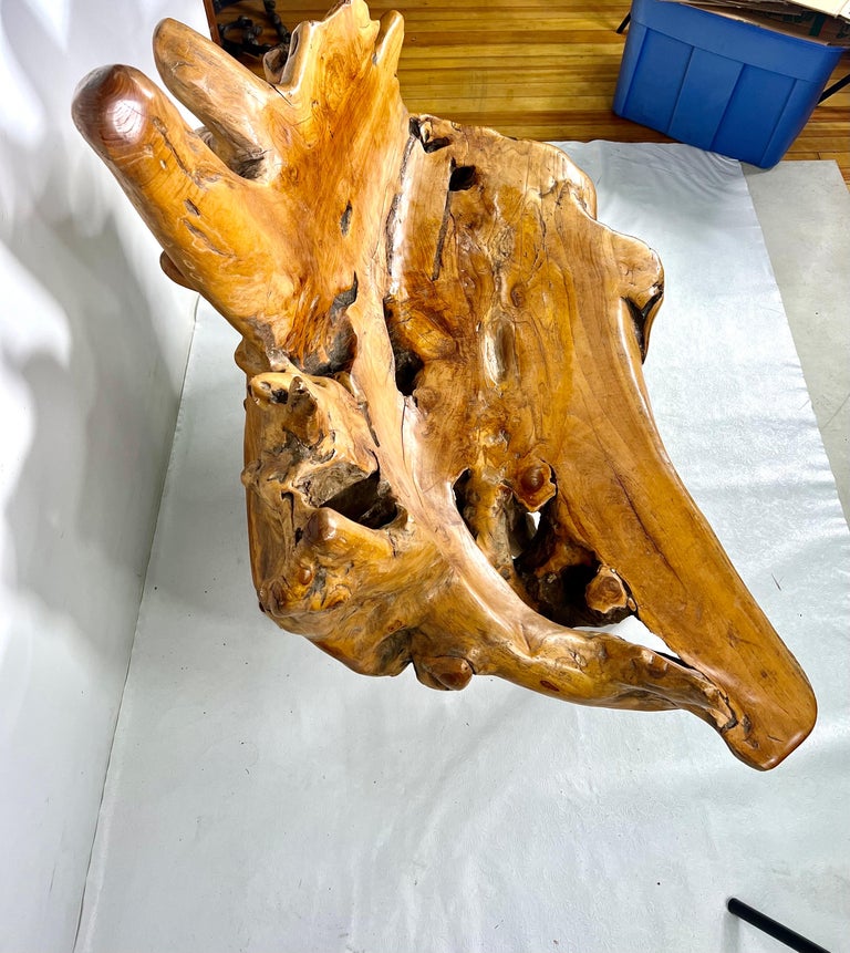 Vintage Sculptural Teak Root Tree Bench For Sale at 1stDibs