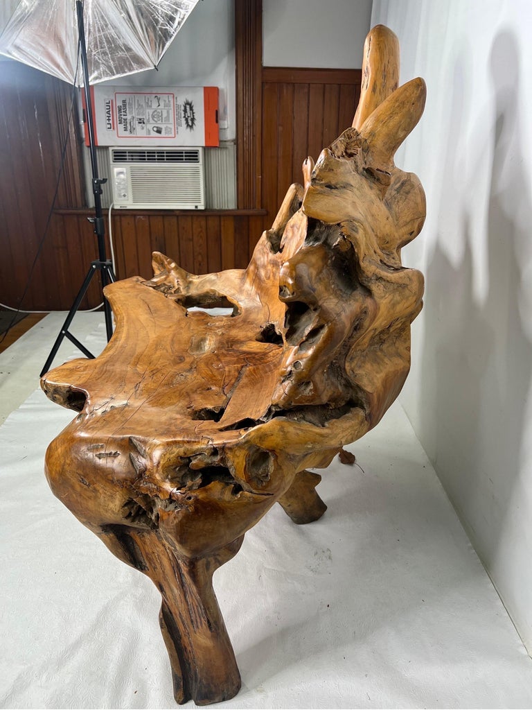 Vintage Sculptural Teak Root Tree Bench For Sale at 1stDibs