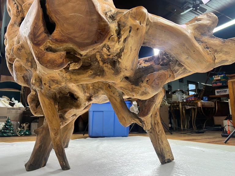 Vintage Sculptural Teak Root Tree Bench For Sale at 1stDibs