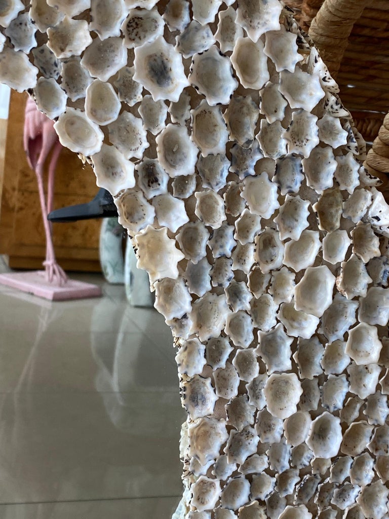 Vintage Seashell Shell Encrusted Round Circular Palm Beach Wall Mirror ...