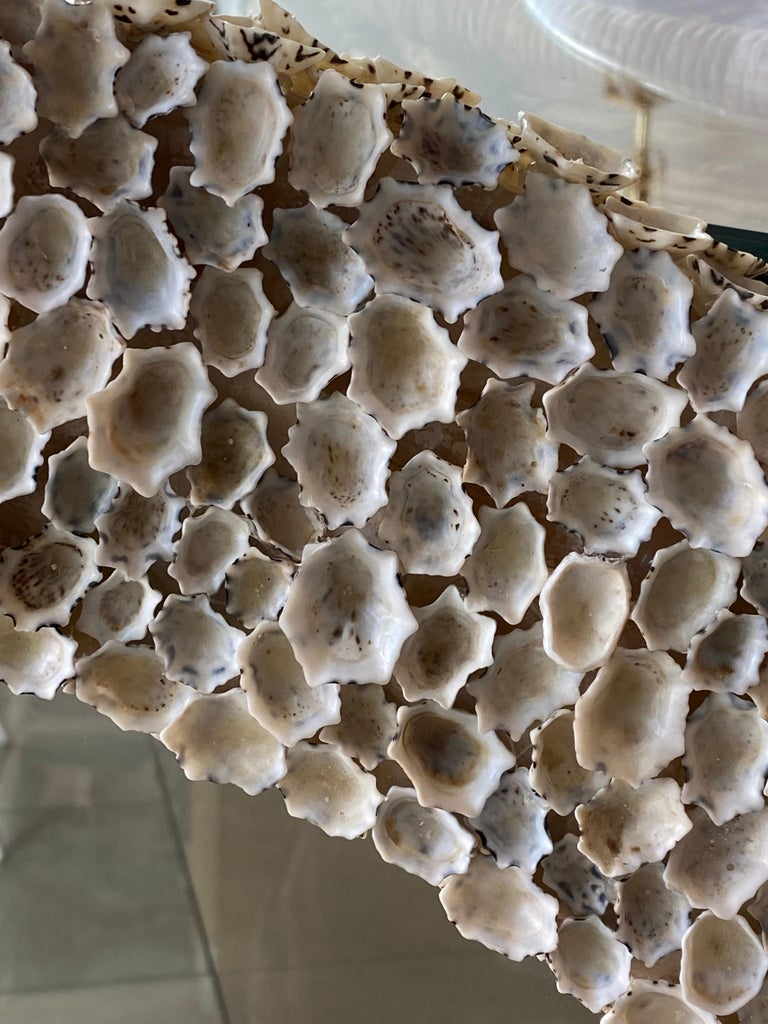 Vintage Seashell Shell Encrusted Round Circular Palm Beach Wall Mirror ...