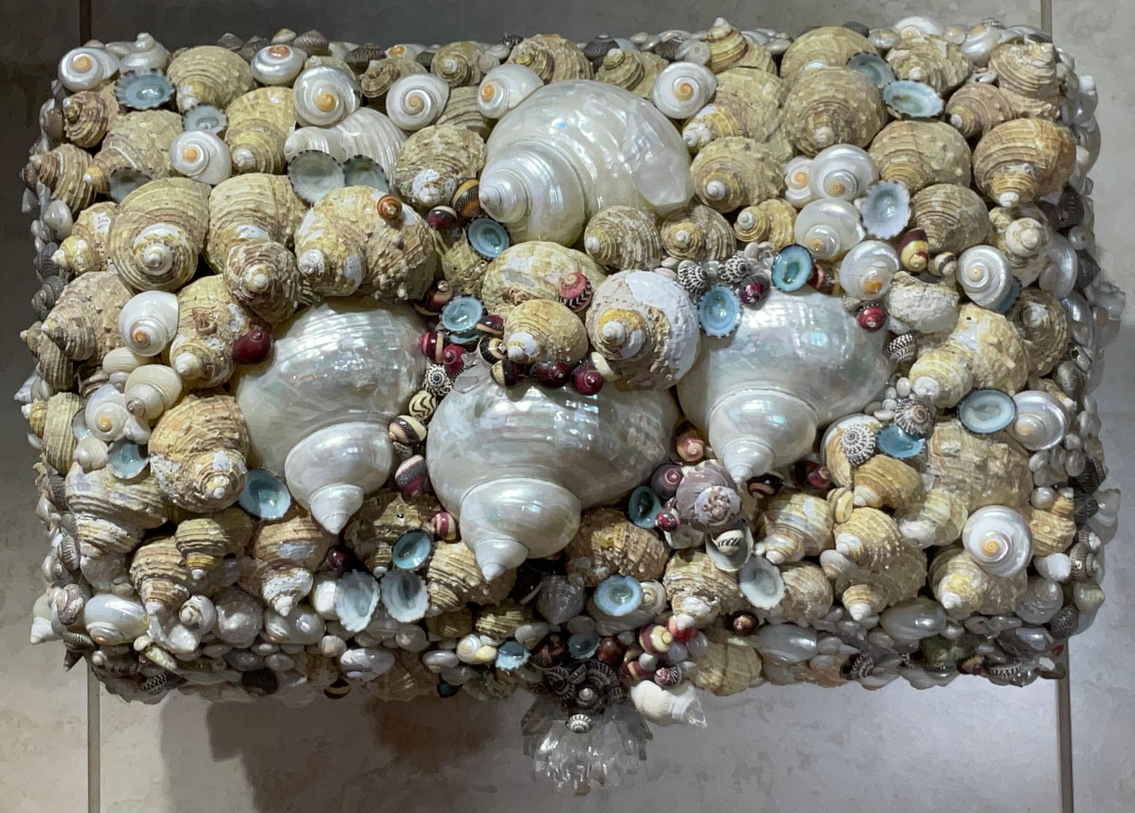 Vintage Seashells Box For Sale at 1stDibs