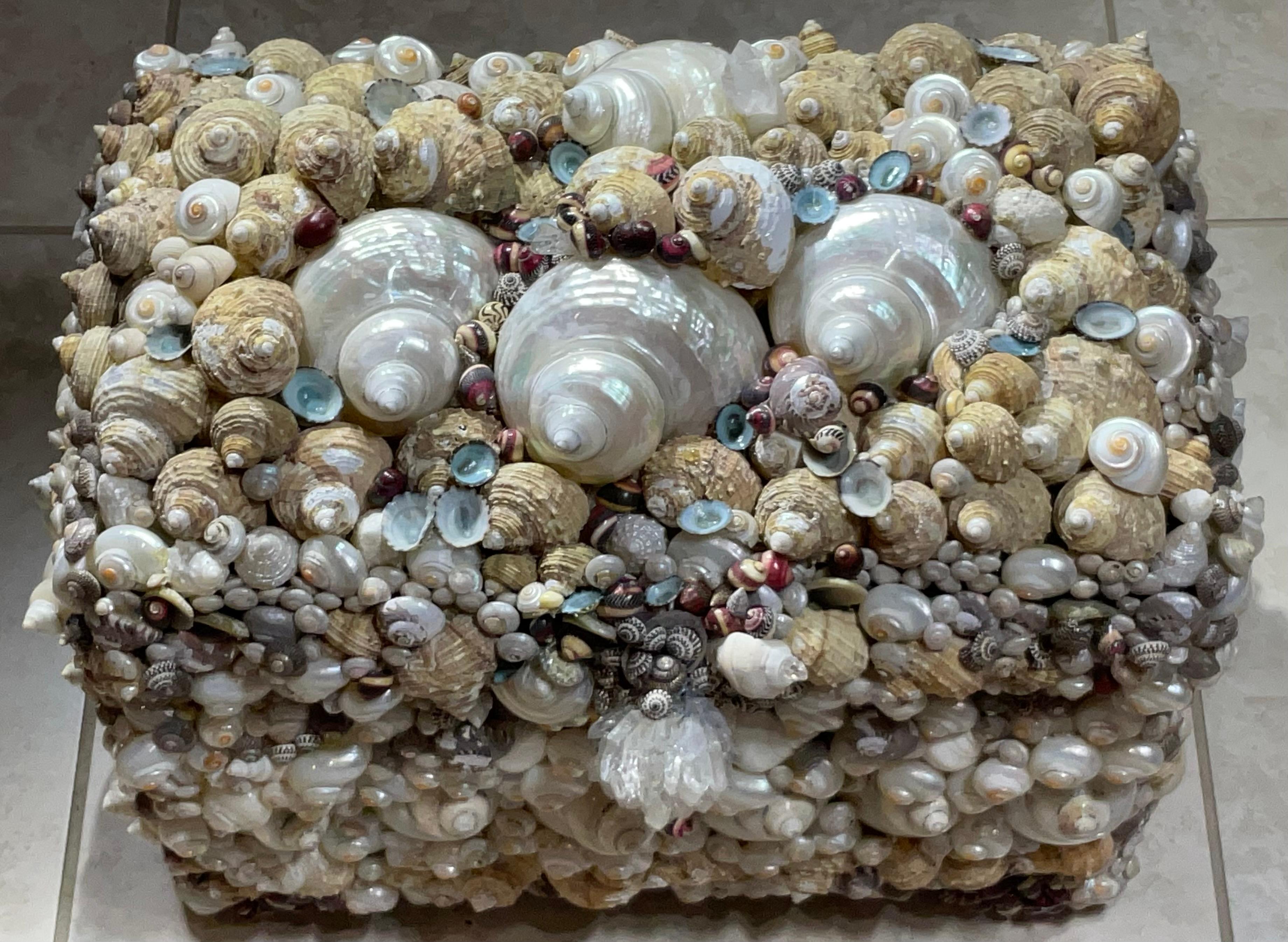 Vintage Seashells Box For Sale at 1stDibs