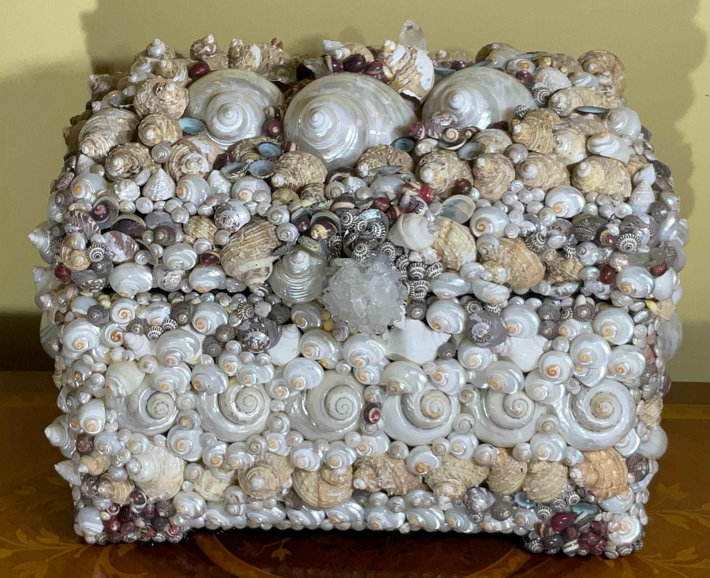 Vintage Seashells Box For Sale at 1stDibs