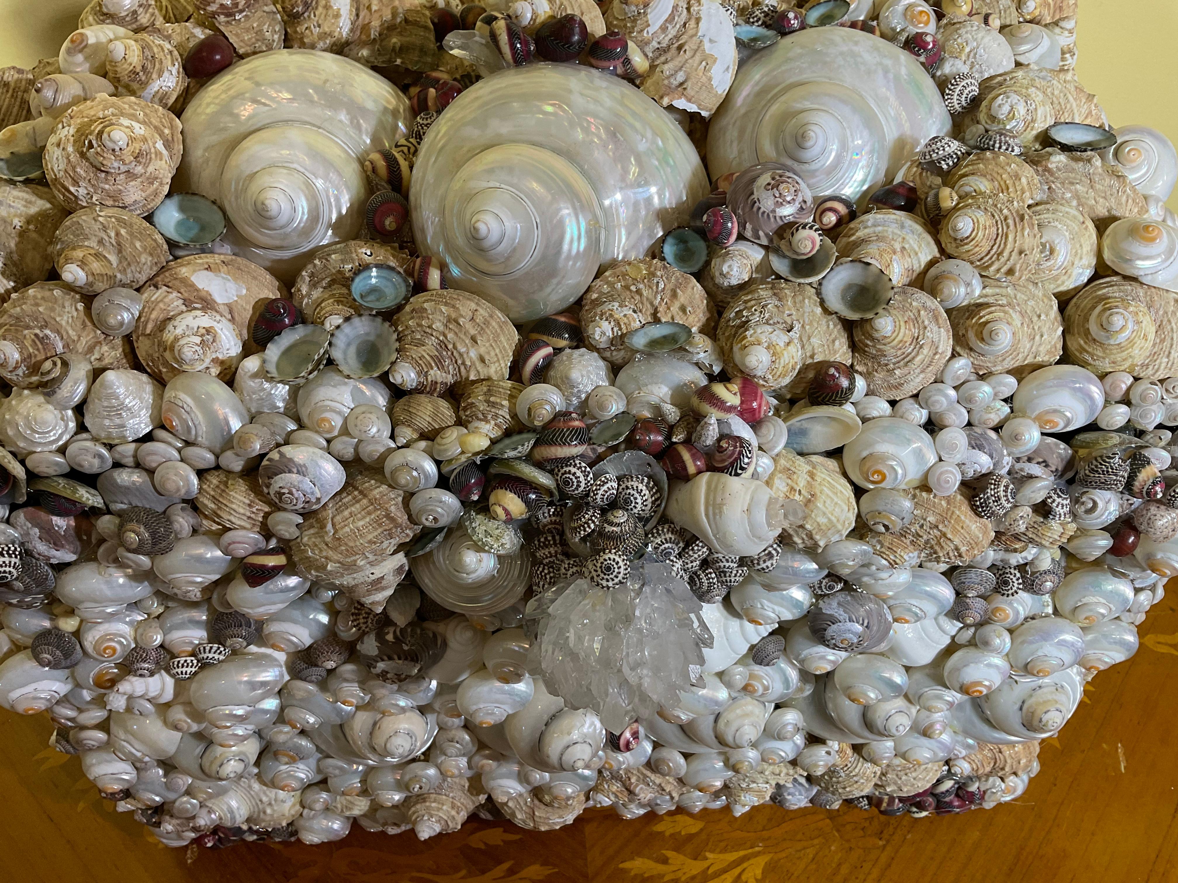 Vintage Seashells Box For Sale at 1stDibs