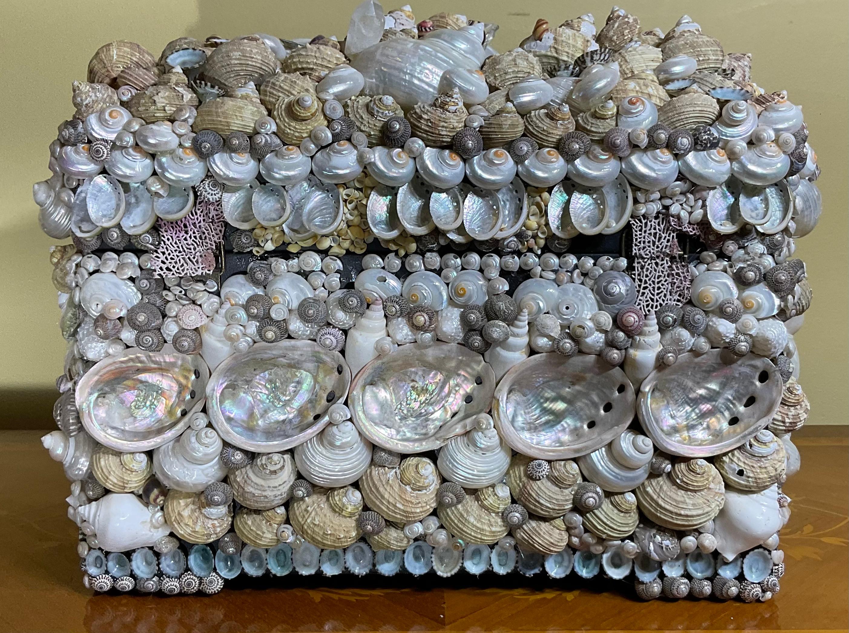 Vintage Seashells Box For Sale at 1stDibs