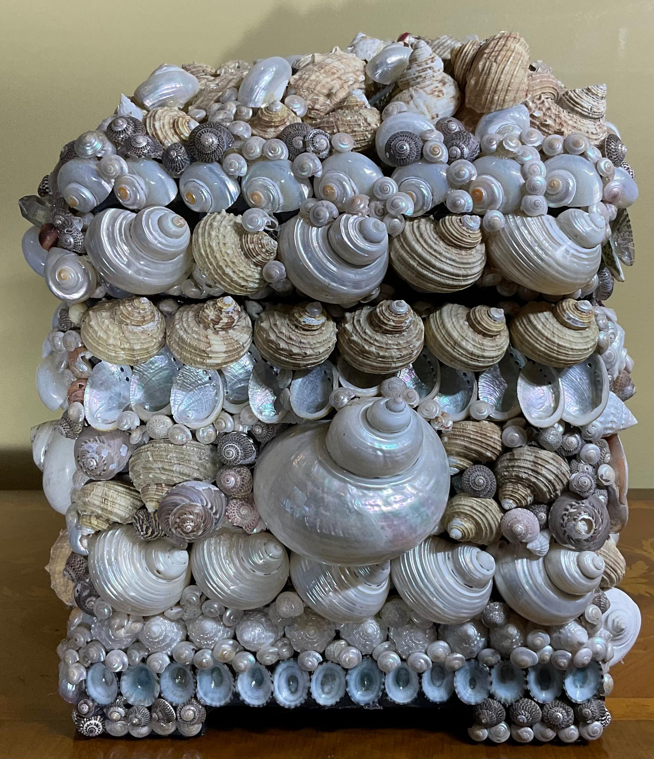 Vintage Seashells Box For Sale at 1stDibs