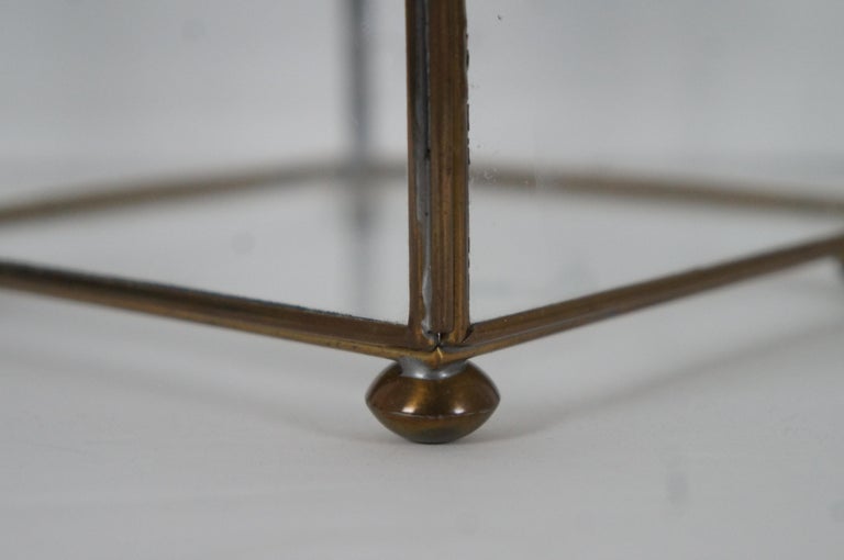 Vintage Spiked Conch Shell Brass Stand Glass Showcase Curio Casket ...