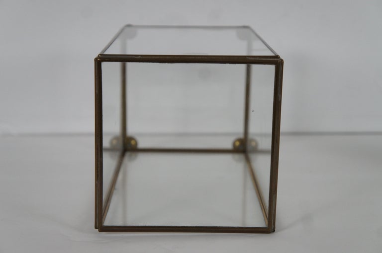 Vintage Spiked Conch Shell Brass Stand Glass Showcase Curio Casket ...